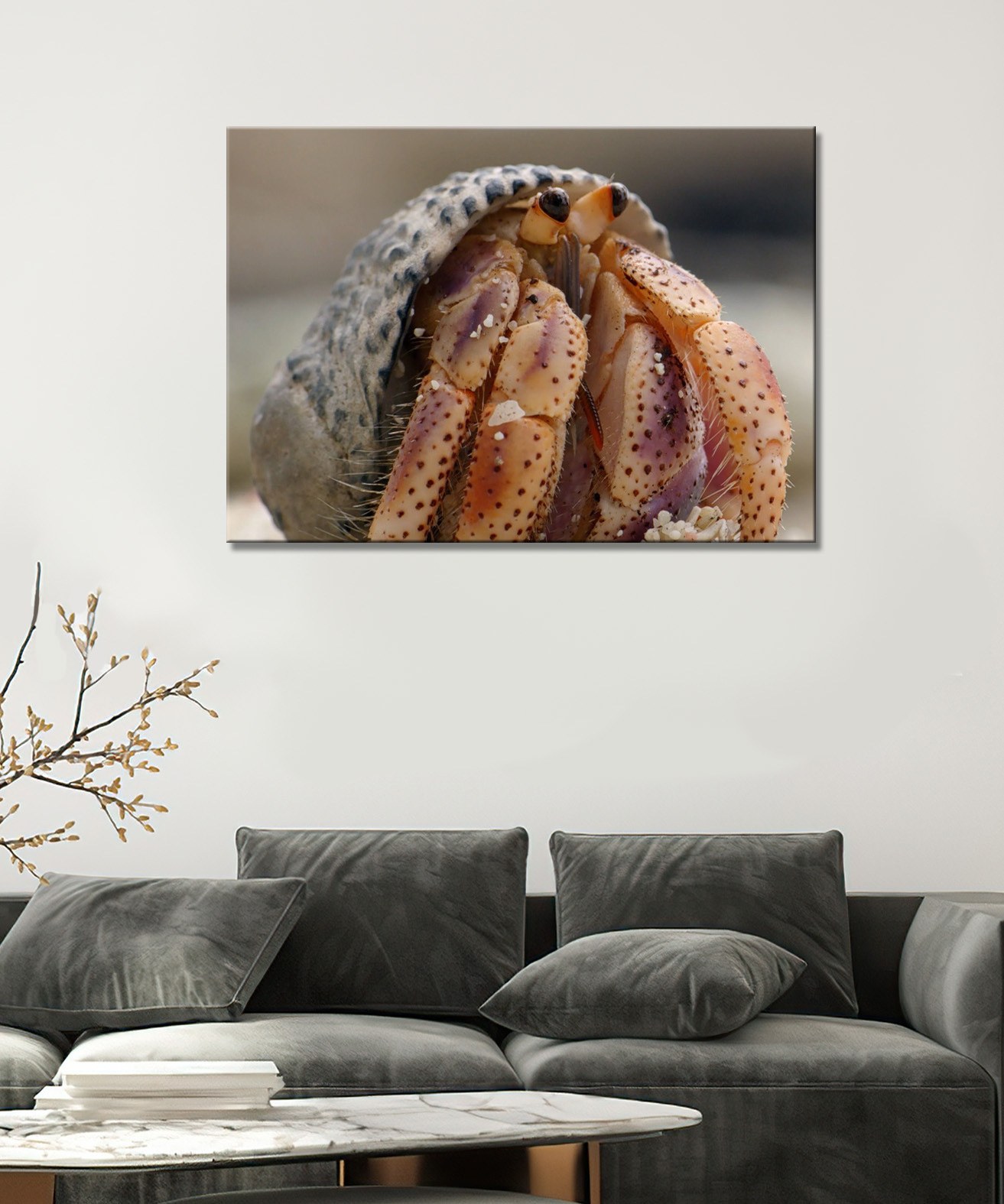 Крабб в интерьере (58 фото) - красивые картинки и HD фото