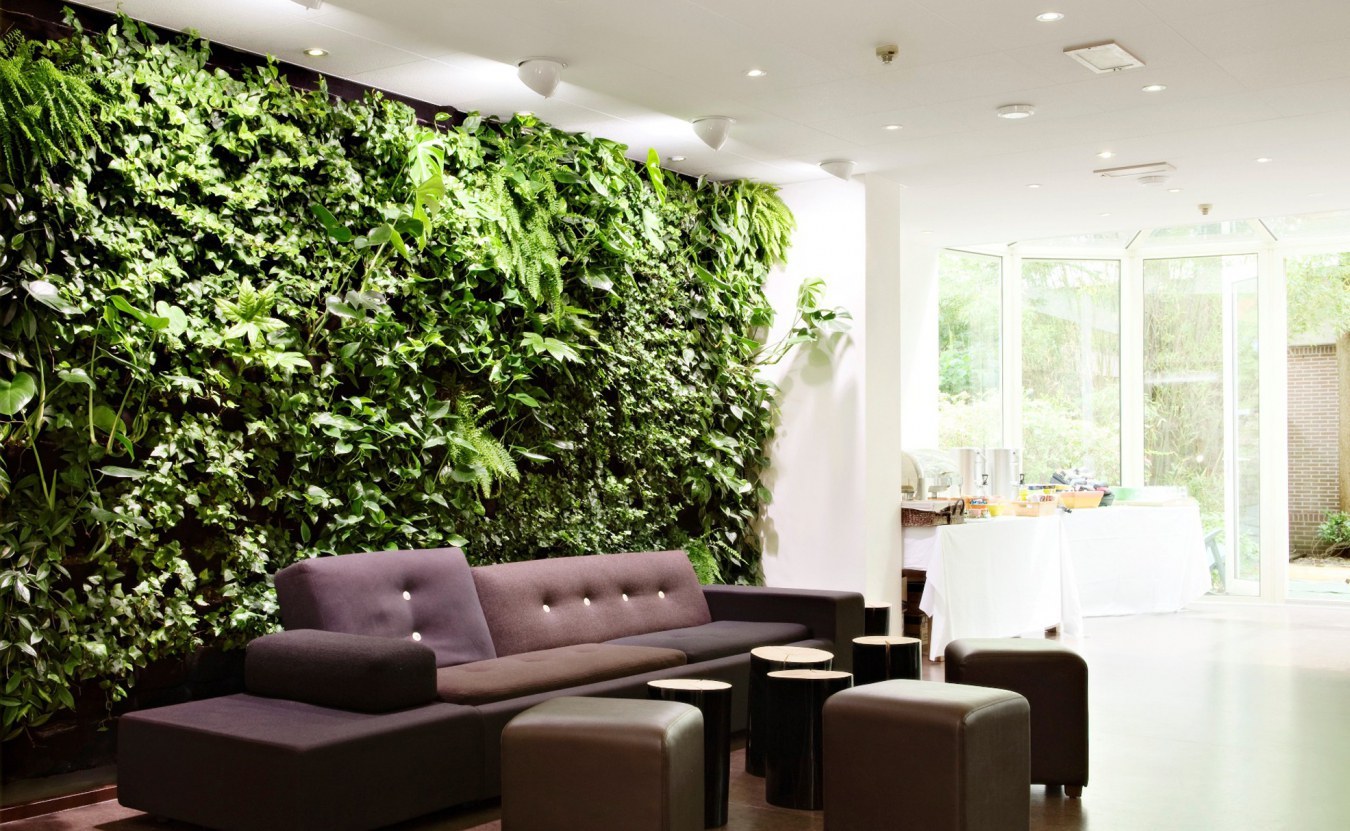 Цветы для озеленения города в интерьере 51 фото красивые картинки и